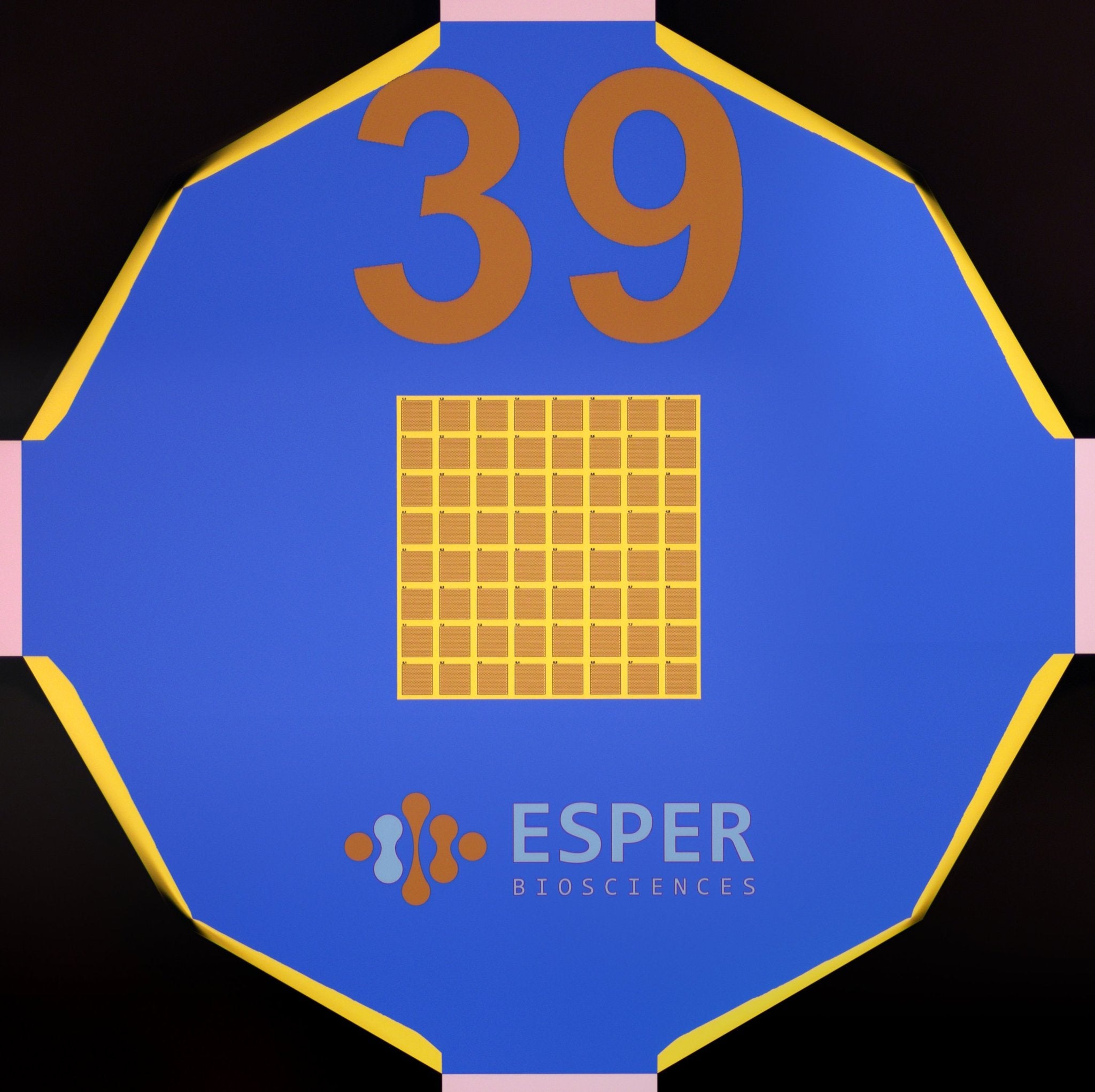TEM grid with 4 um holes in a 100 nm membrane (20 pack) – Esper Biosciences